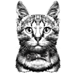 Alimento premium para perros y gatos - Prime Care®